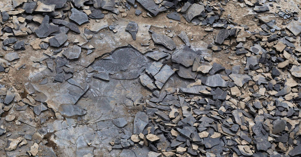Mineralità nel vino - Ma Cosa Significa Veramente?